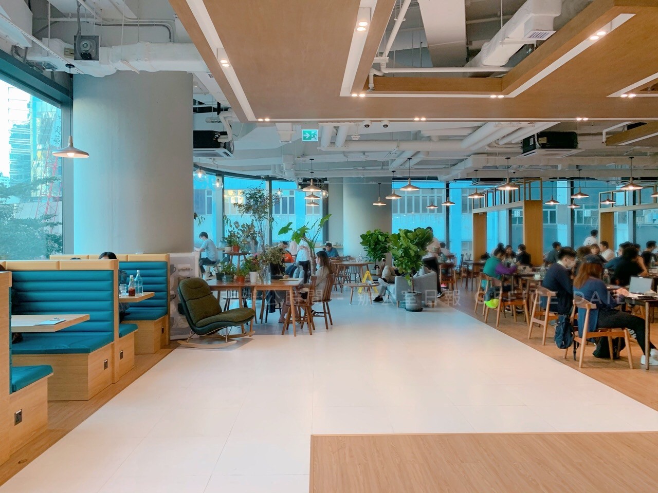 牛頭角 Cafe 樂感 Lagom Kaffe 文青Cafe 桔梗姐妹店 - Office Daily